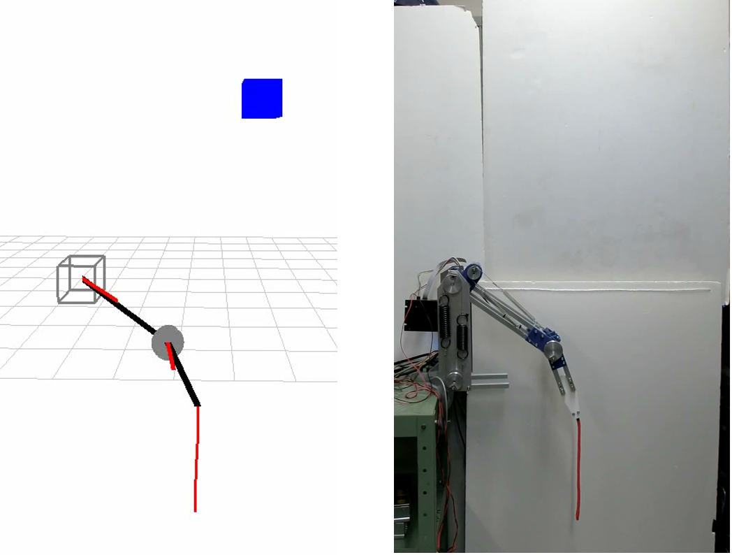 Rope manipulation by flexible joint robot arm – Robotics and Mechatronics Laboratory -ロボティクス ...